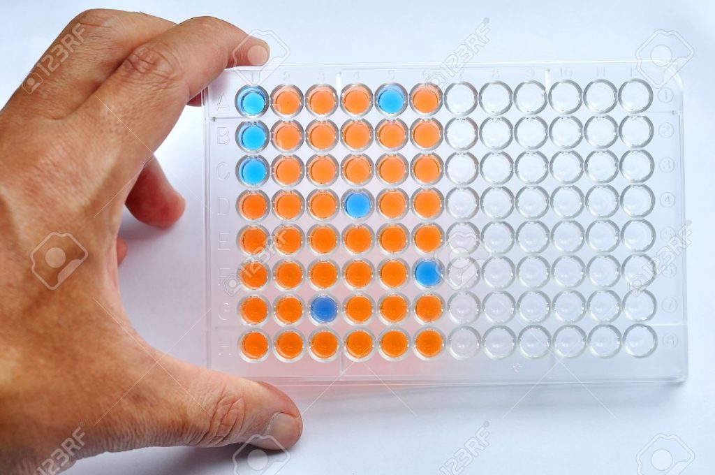 elisa - Food Safety Brazil