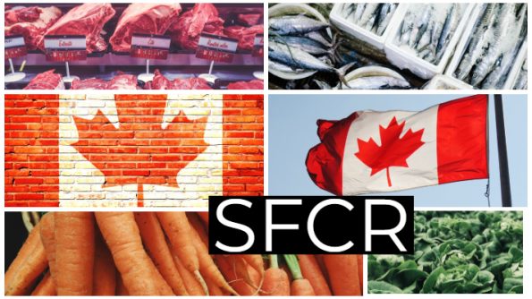 SFCR_IMAGE - Food Safety Brazil