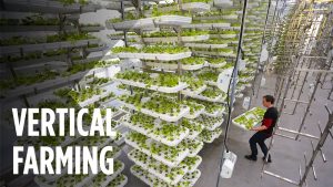 vertical farms - Food Safety Brazil