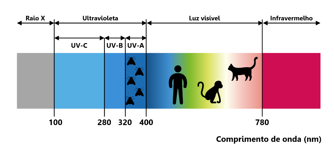 espectro-1 - Food Safety Brazil