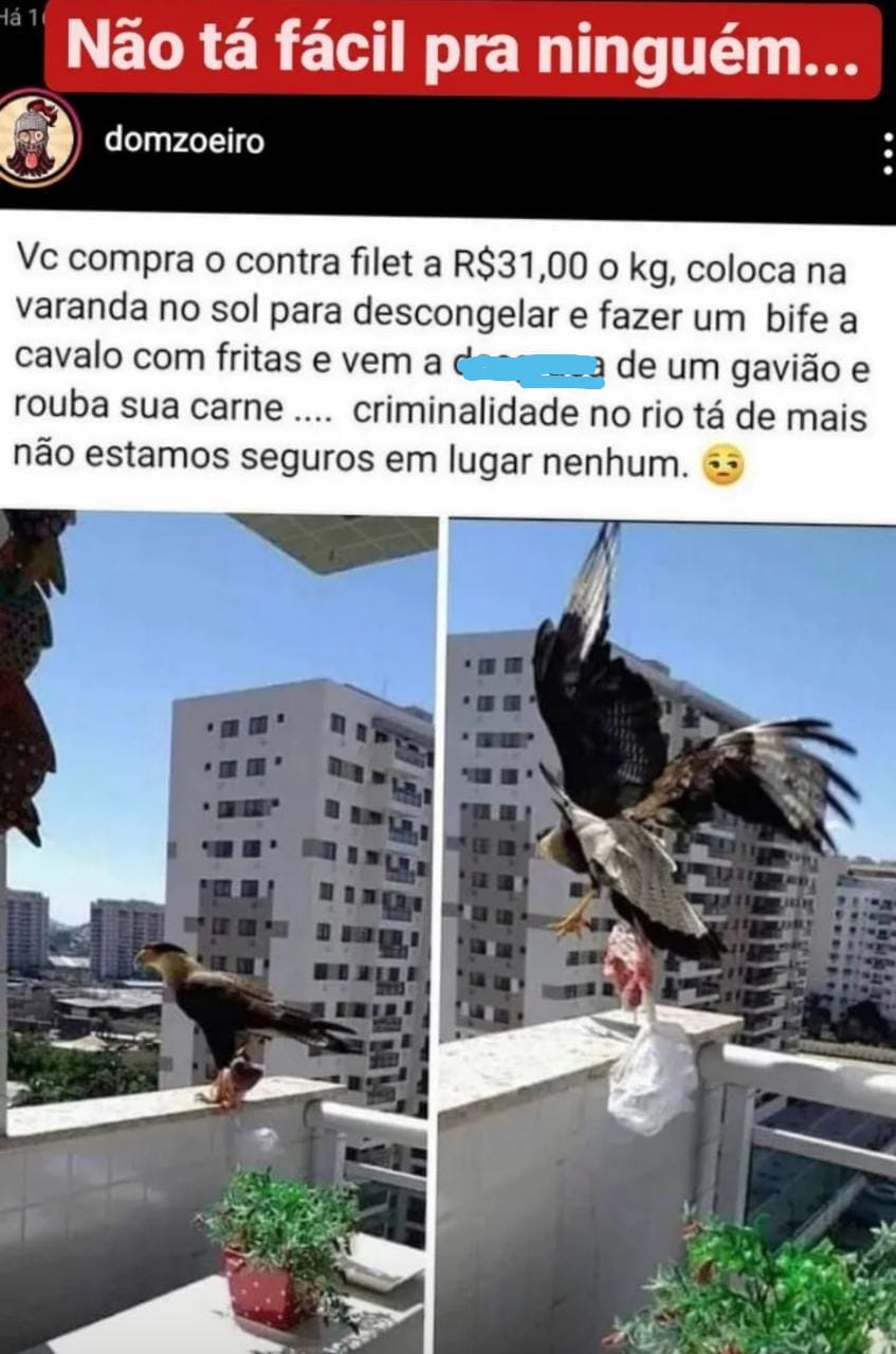 Arquivos Humor - Food Safety Brazil